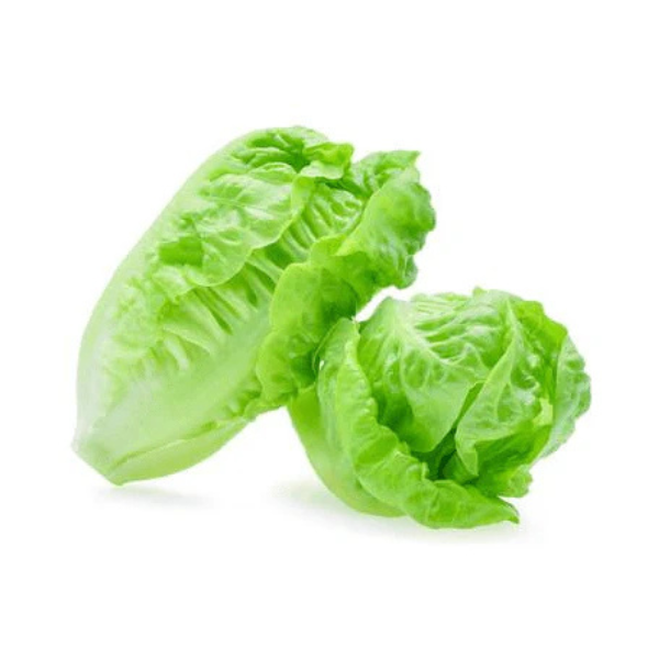 Lettuce Cos each – Gabriel Fresh